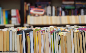 Duluth Public Library - Duluth Public Library